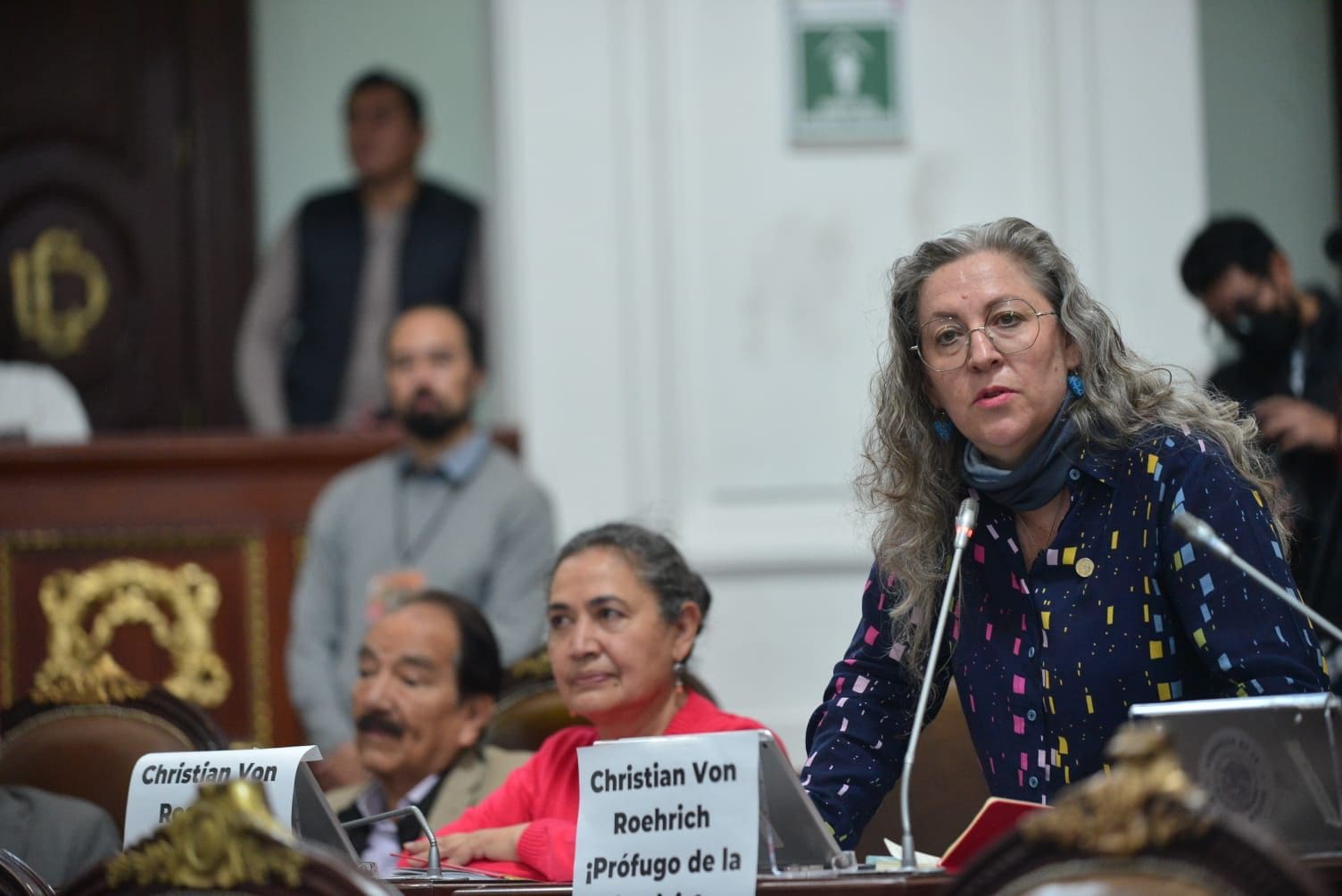 Niegan licencia a Von Roerich por "prófugo de la justicia ...