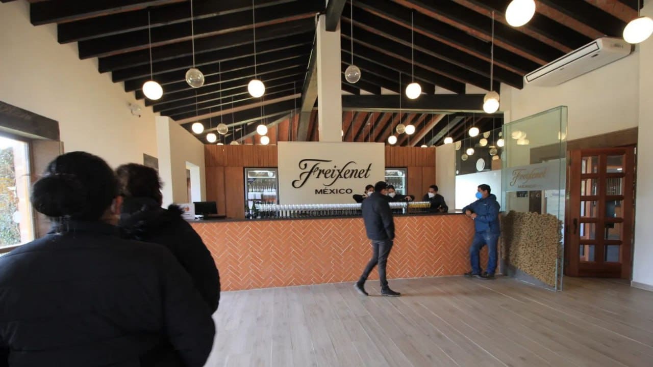 Para los amantes del vino visita la Finca Sala Vivé by Freixenet ...