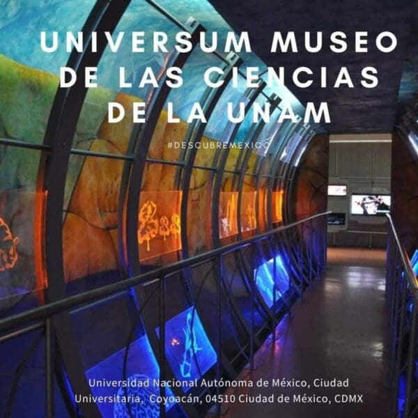 Universum, el museo de las ciencias en la CDMX - Impressiones mx