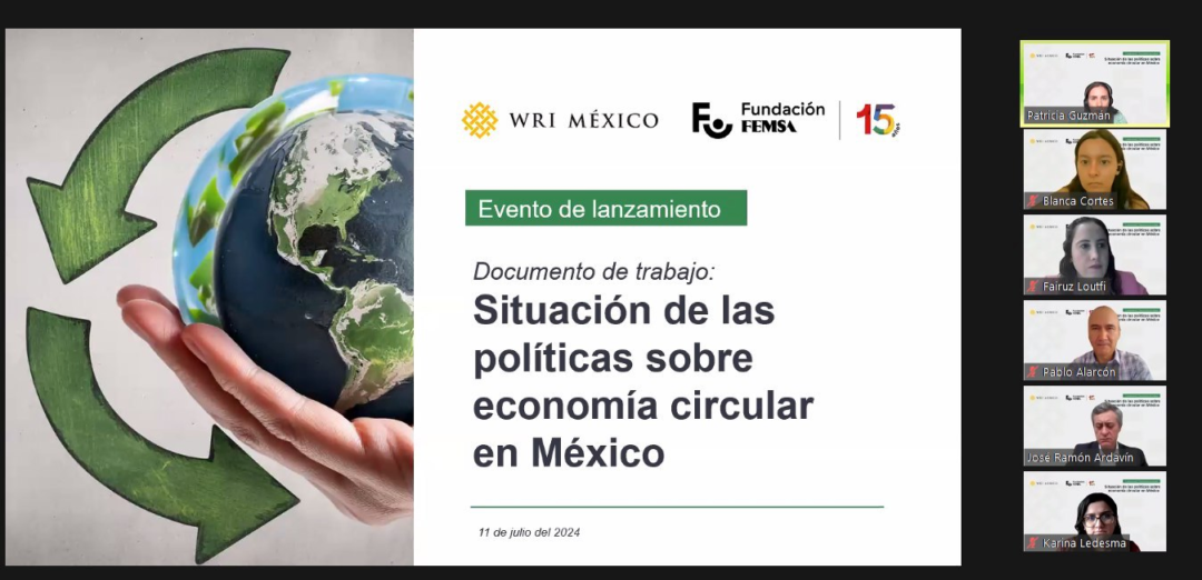 Presentan avances y retos de la economía circular en México ...